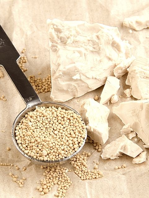 Yeast Meaning Yeast | Mount Zion Church